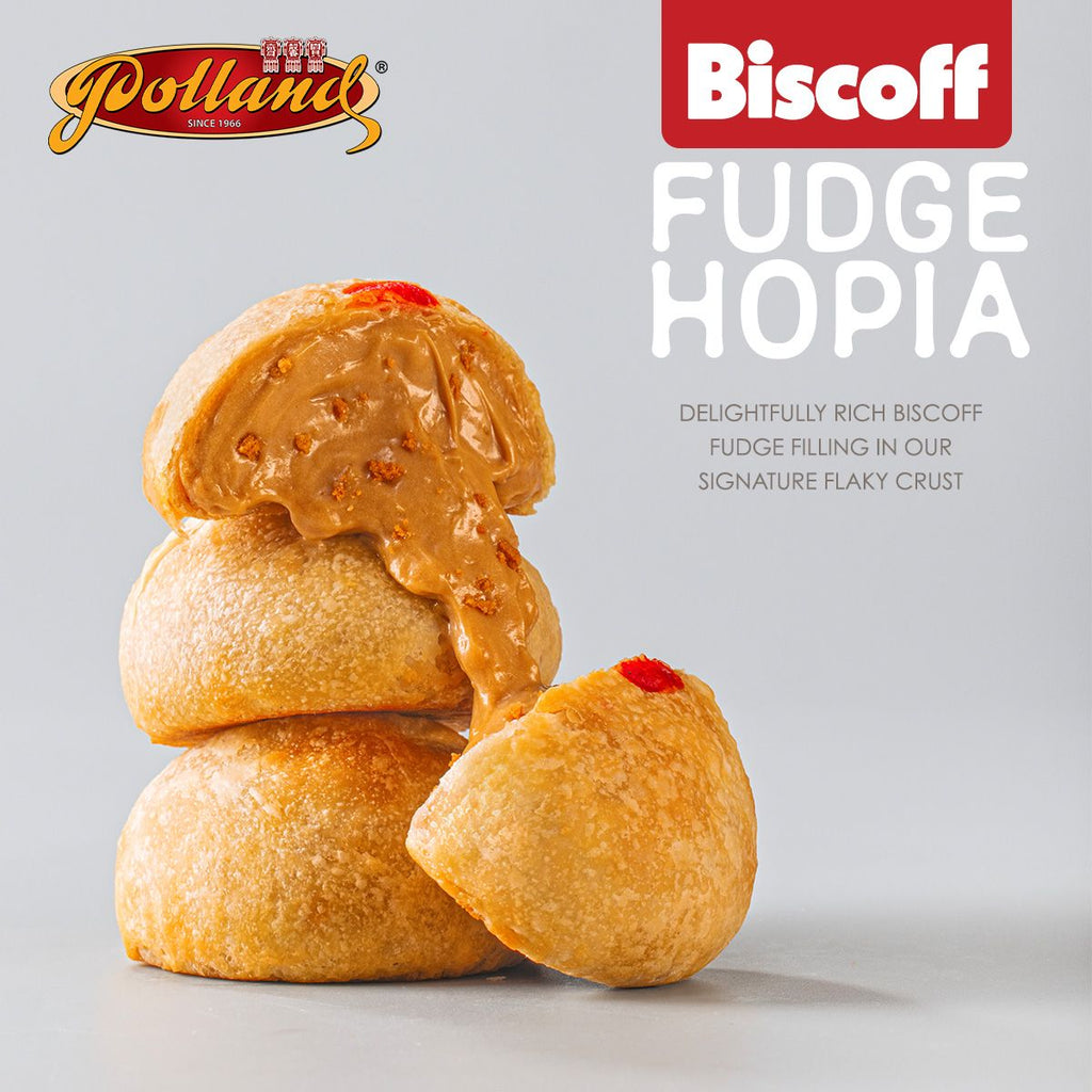 Polland Biscoff Fudge 6pcs 30grams/piece – Polland Hopia